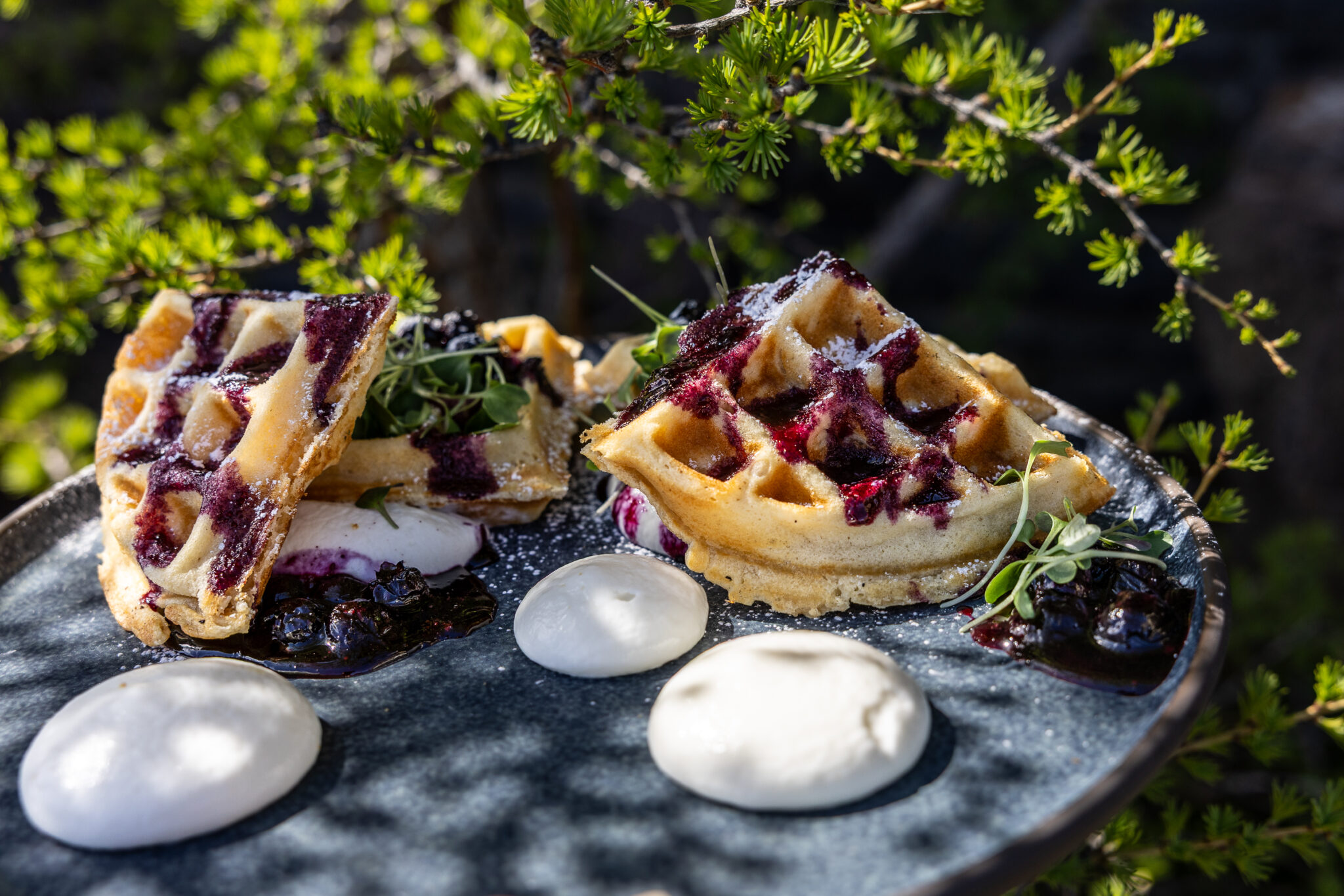 Juniper Bistro – Juniper Hotel